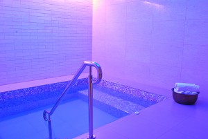 WILLOW STREAM | Philippine Primer