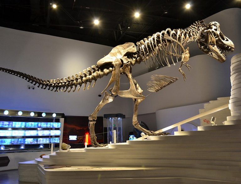 Father’s Day Treat at The Mind Museum in BGC | Philippine Primer