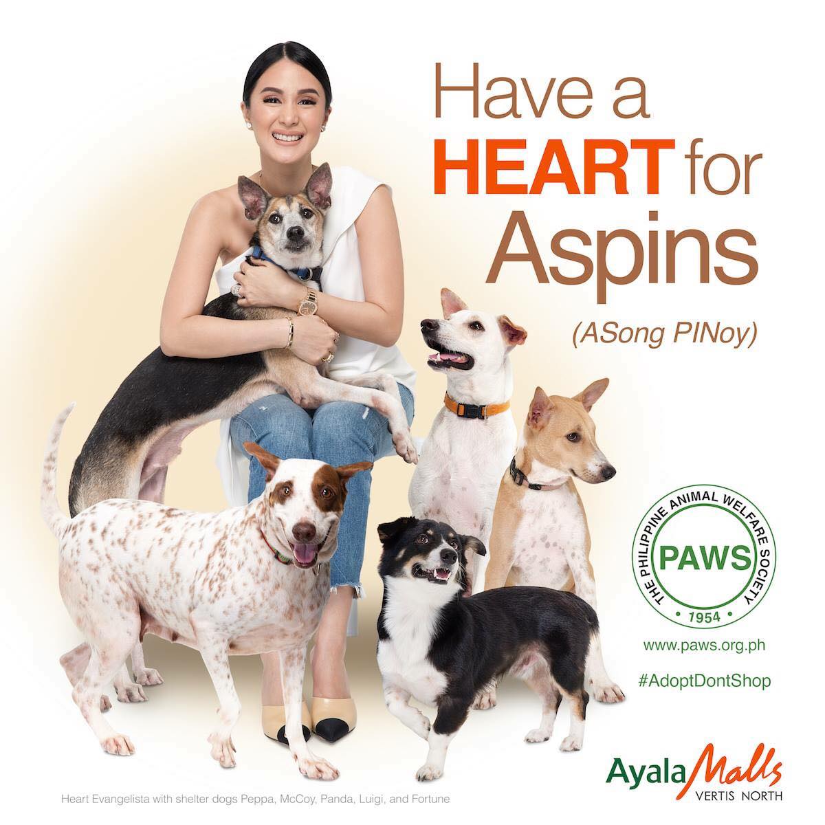 PAWS’ New Campaign ‘Have a Heart for Aspins’ Gains Support | Philippine ...