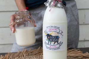 LIST: 6 Fresh Milk Brands and Where to Get Them | Philippine Primer
