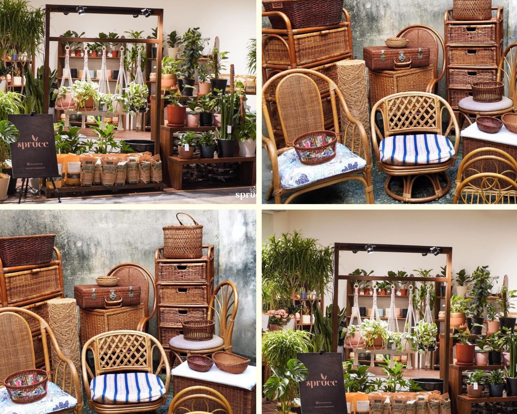 SHOP NOW: Your Go-to Houseplant Shops and Furniture Stores in the Metro ...