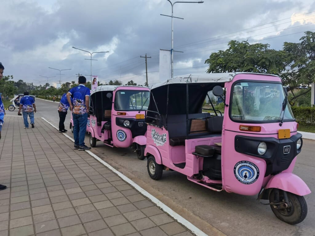 A Sight to Behold: Cherry Blossoms Bloom in Puerto Princesa, Palawan | Philippine Primer