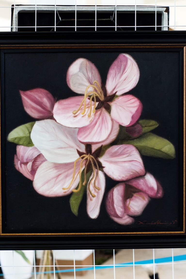 A Sight to Behold: Cherry Blossoms Bloom in Puerto Princesa, Palawan ...