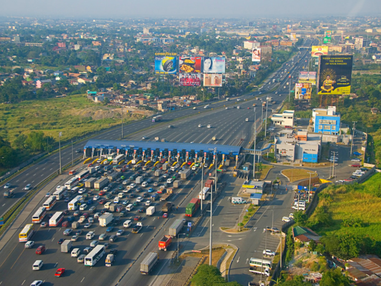A Sight to Behold: Cherry Blossoms Bloom in Puerto Princesa, Palawan | Philippine Primer