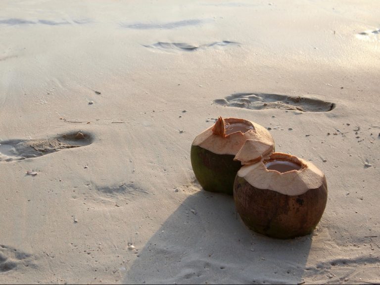 1st World Coconut Congress in the Philippines | Philippine Primer