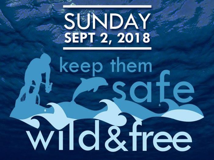 Stand Up and Bike for Dolphins: Japan Dolphin Day 2018 | Philippine Primer