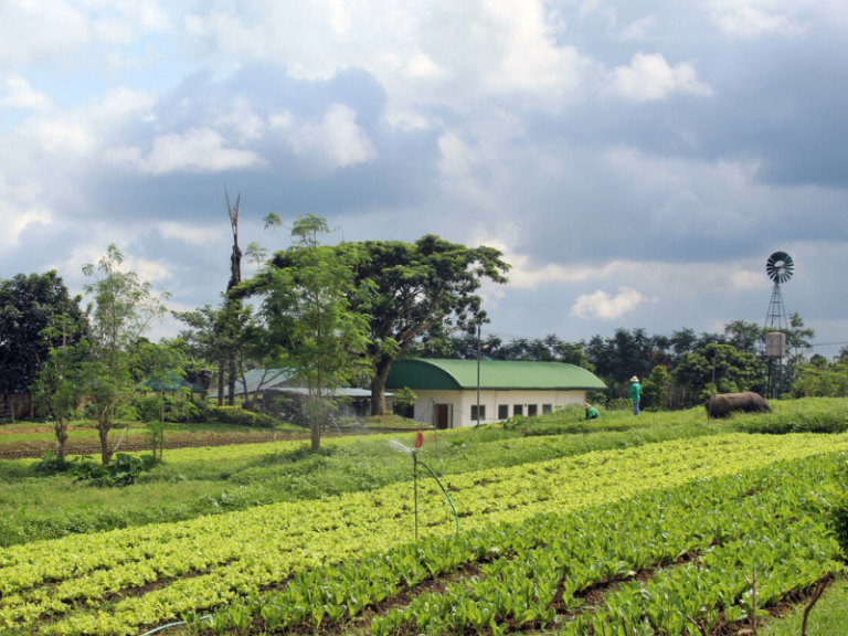 Silang, Cavite: Tagaytay’s Underrated Neighbor | Philippine Primer