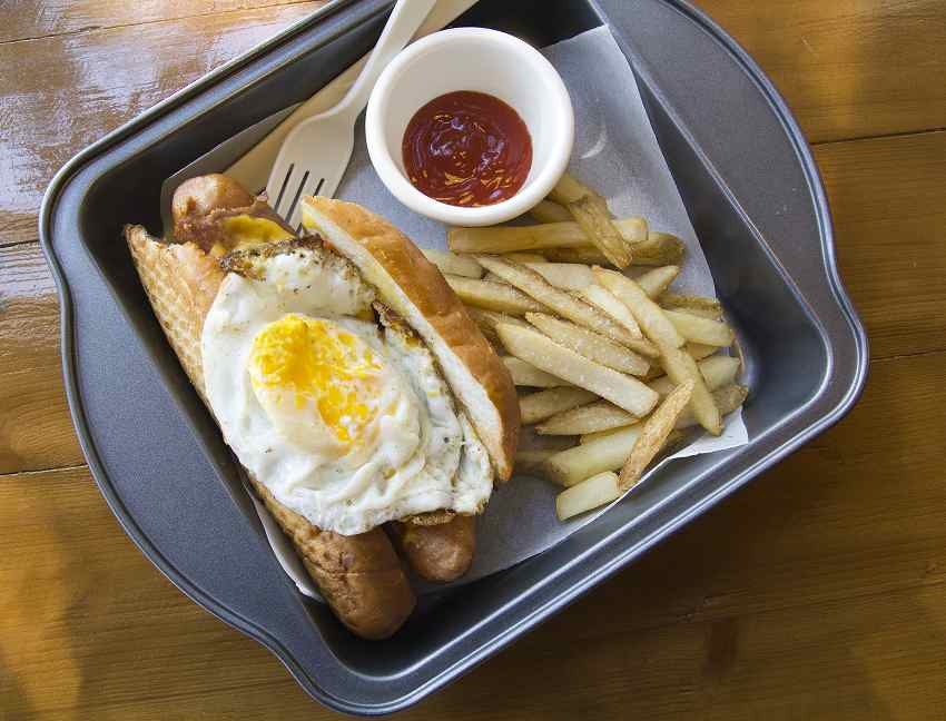 Wicked Dogs | Philippine Primer