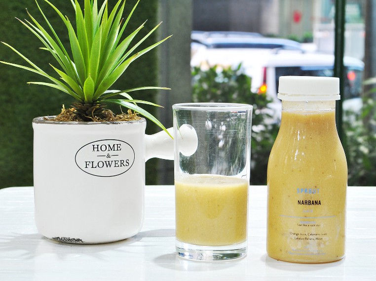 Sprout | Philippine Primer