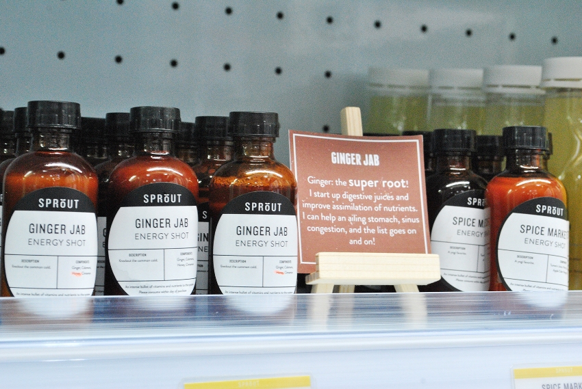 Sprout | Philippine Primer