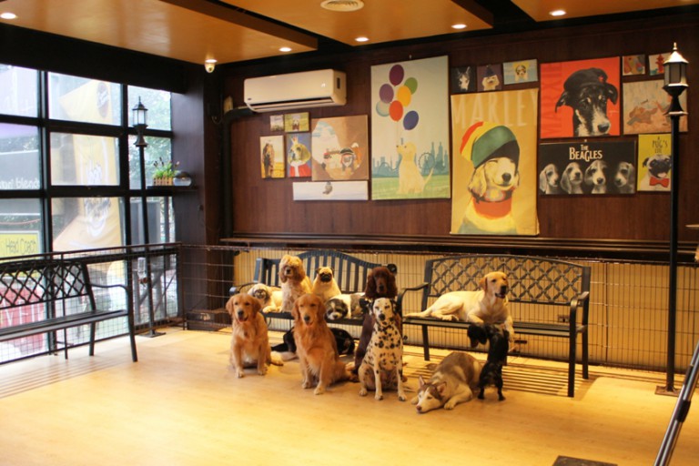 Barkin’ Blends Dog Café | Philippine Primer