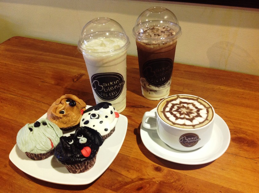 Barkin’ Blends Dog Café | Philippine Primer