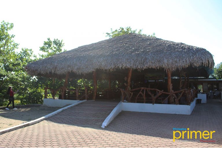 Pinakbet Farm in Ilocos Sur: A Serene Farm Life Experience | Philippine ...