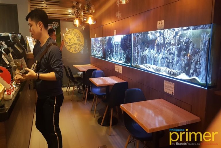 Café Aquatica in Binondo: A Fish Lover’s Cafe Haven | Philippine Primer