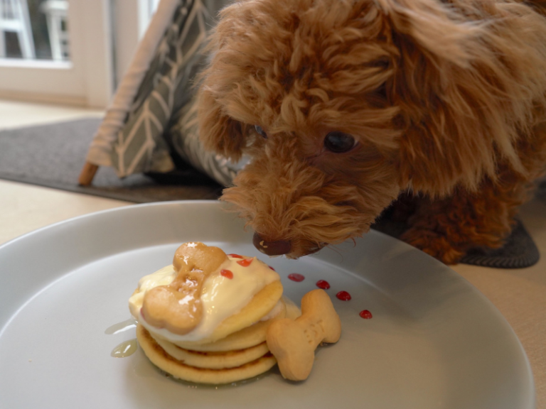 EST Japanese Cafe in BGC: Japanese Breads, Specialty Coffee, and ...