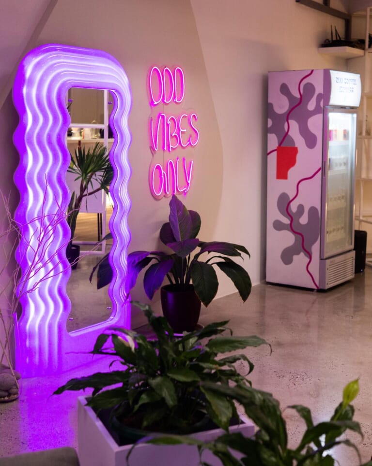 Odd Cafe in Makati City: A Quirky, Pet-friendly Cafe | Philippine Primer