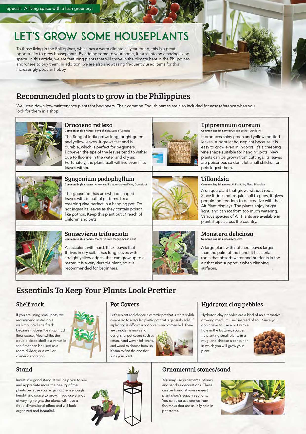 Philippine Primer Volume 61 Philippine Primer