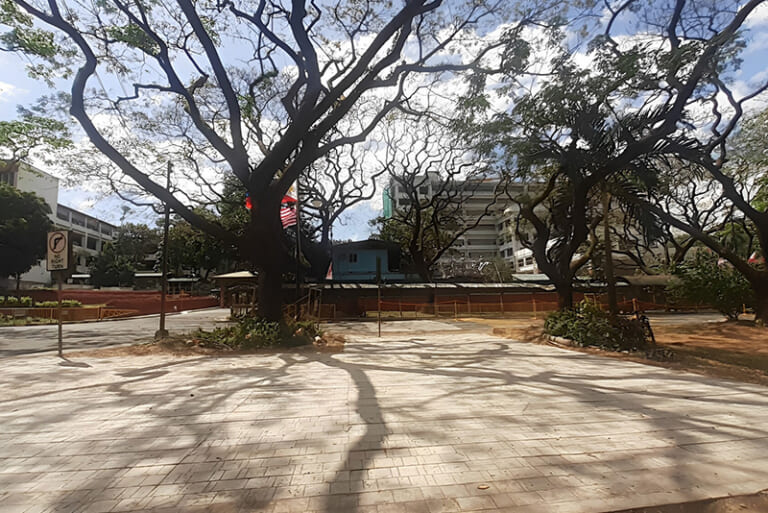 University of the Philippines Diliman – Quezon City | Philippine Primer