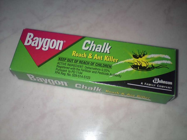 Expats’ Guide: How to Deal with Pests | Philippine Primer