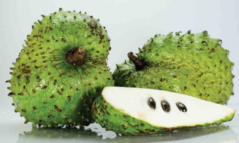 Top 10 Fruits You’d Find in the Philippines | Philippine Primer