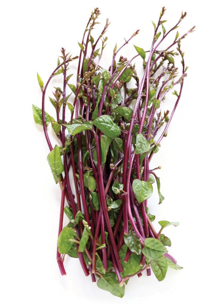 A Guide to Vegetables in PH | Philippine Primer