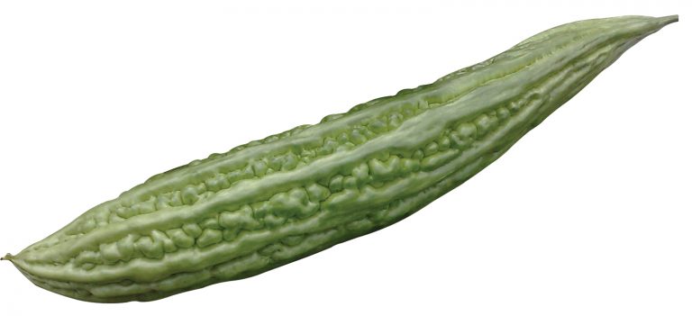 A Guide to Vegetables in PH | Philippine Primer