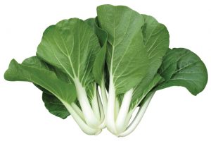 A Guide to Vegetables in PH | Philippine Primer