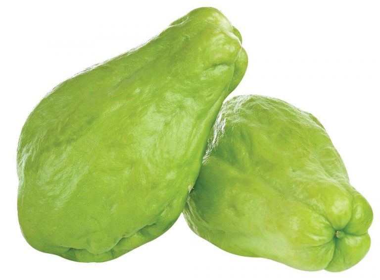 A Guide to Vegetables in PH | Philippine Primer