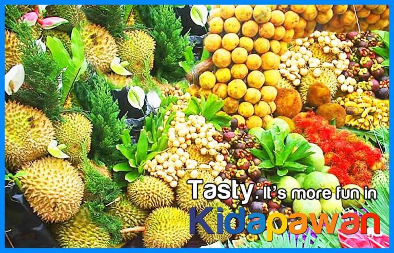 Timpupo Fruit Festival in Kidapawan City: A celebration of Culture ...