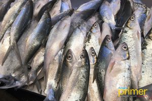 Market Guide to Common Fishes in the Philippines | Philippine Primer