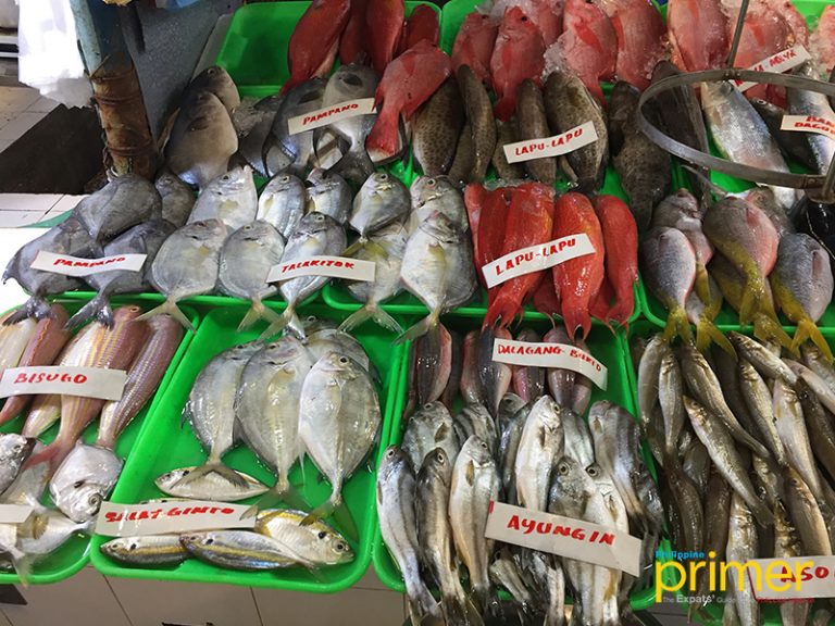 Expats’ Guide to Expressways in the Philippines | Philippine Primer Expats’ Guide to Expressways in the Philippines | Philippine Primer