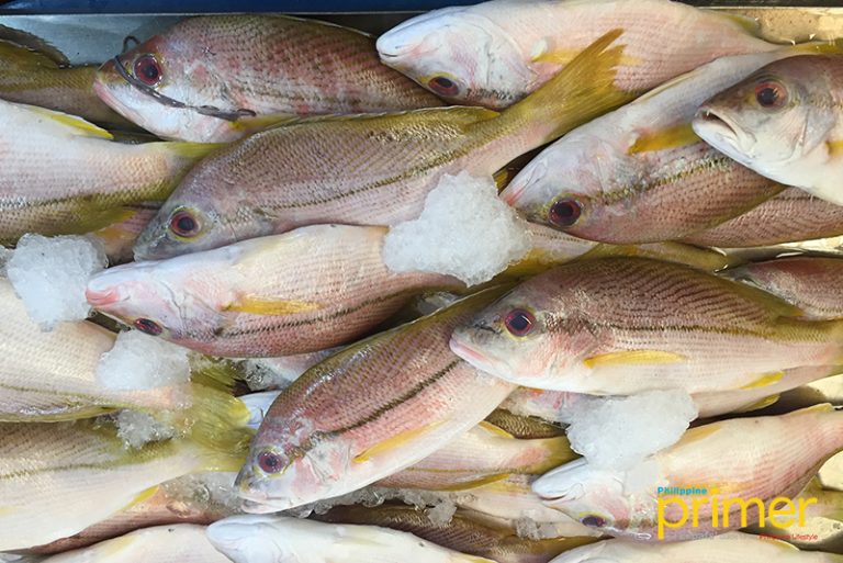 Market Guide to Common Fishes in the Philippines | Philippine Primer