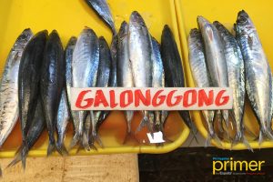 Market Guide to Common Fishes in the Philippines | Philippine Primer