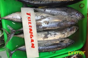 Market Guide to Common Fishes in the Philippines | Philippine Primer