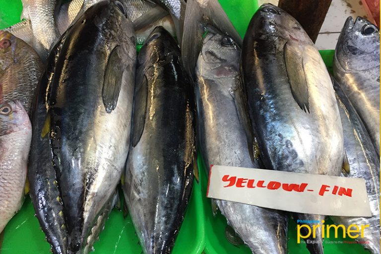 Market Guide to Common Fishes in the Philippines | Philippine Primer