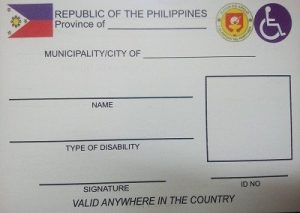Expats Guide to Valid IDs in the Philippines | Philippine Primer