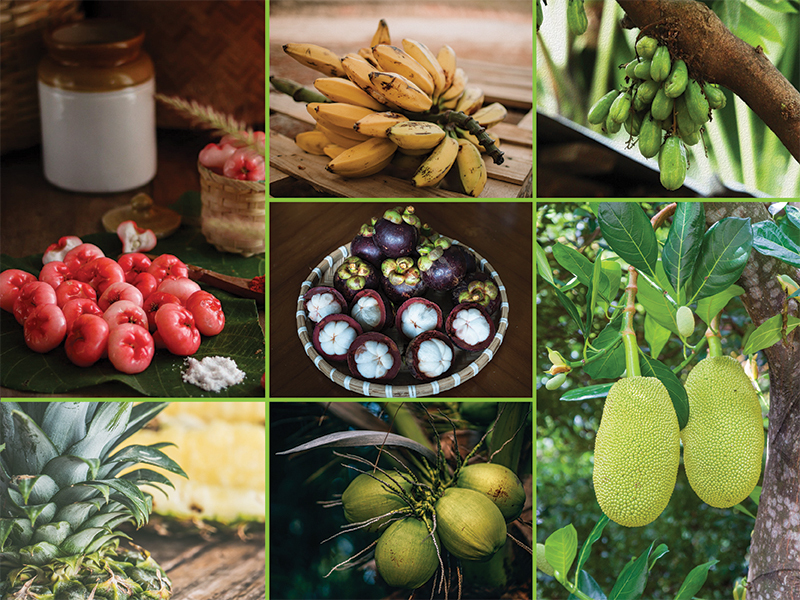 LIST: 10 More Must-try Fruits in the Philippines | Philippine Primer