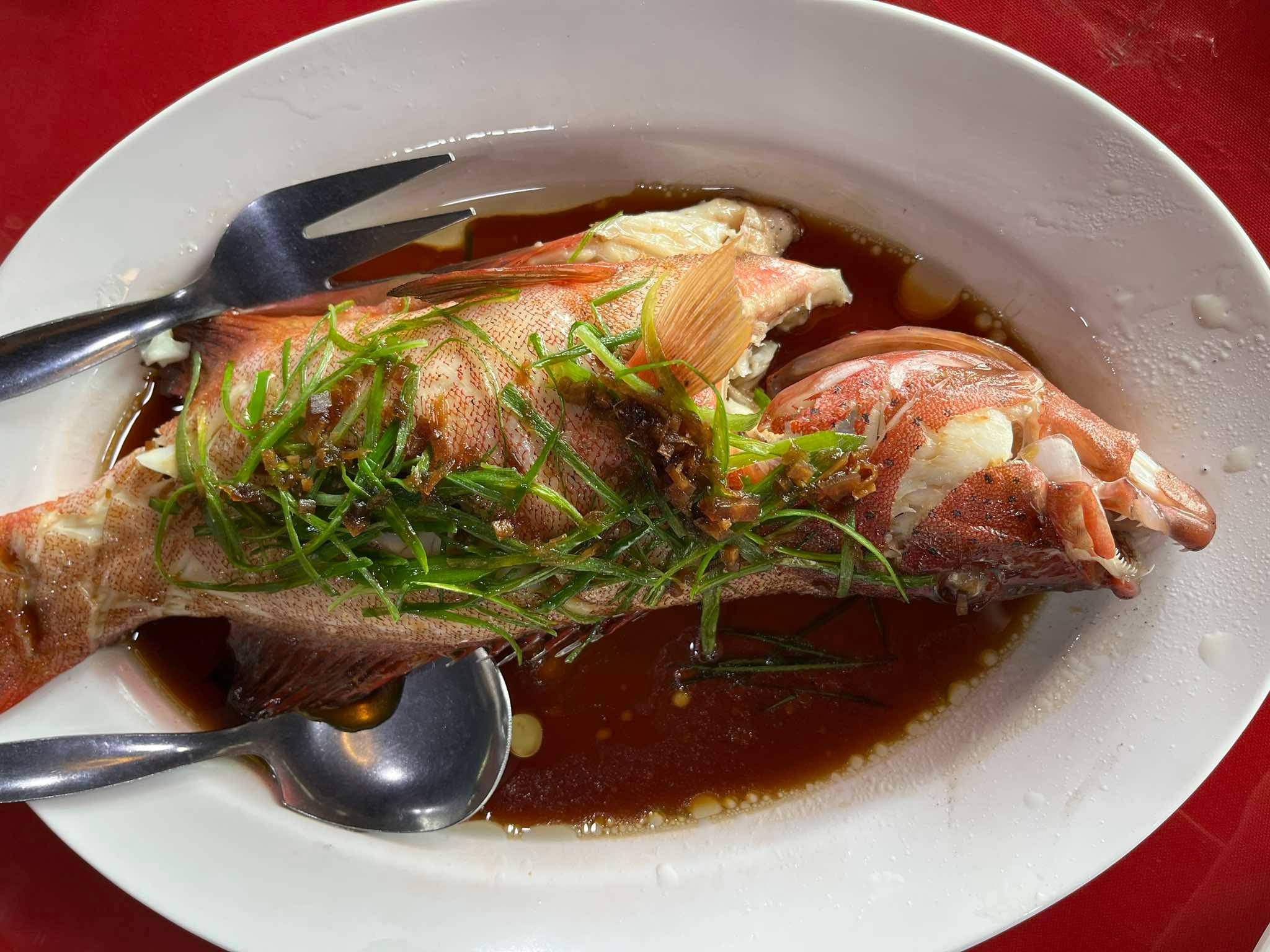 EXPAT’S GUIDE: Dampa Restaurants in the Pasay Bay Area | Philippine Primer