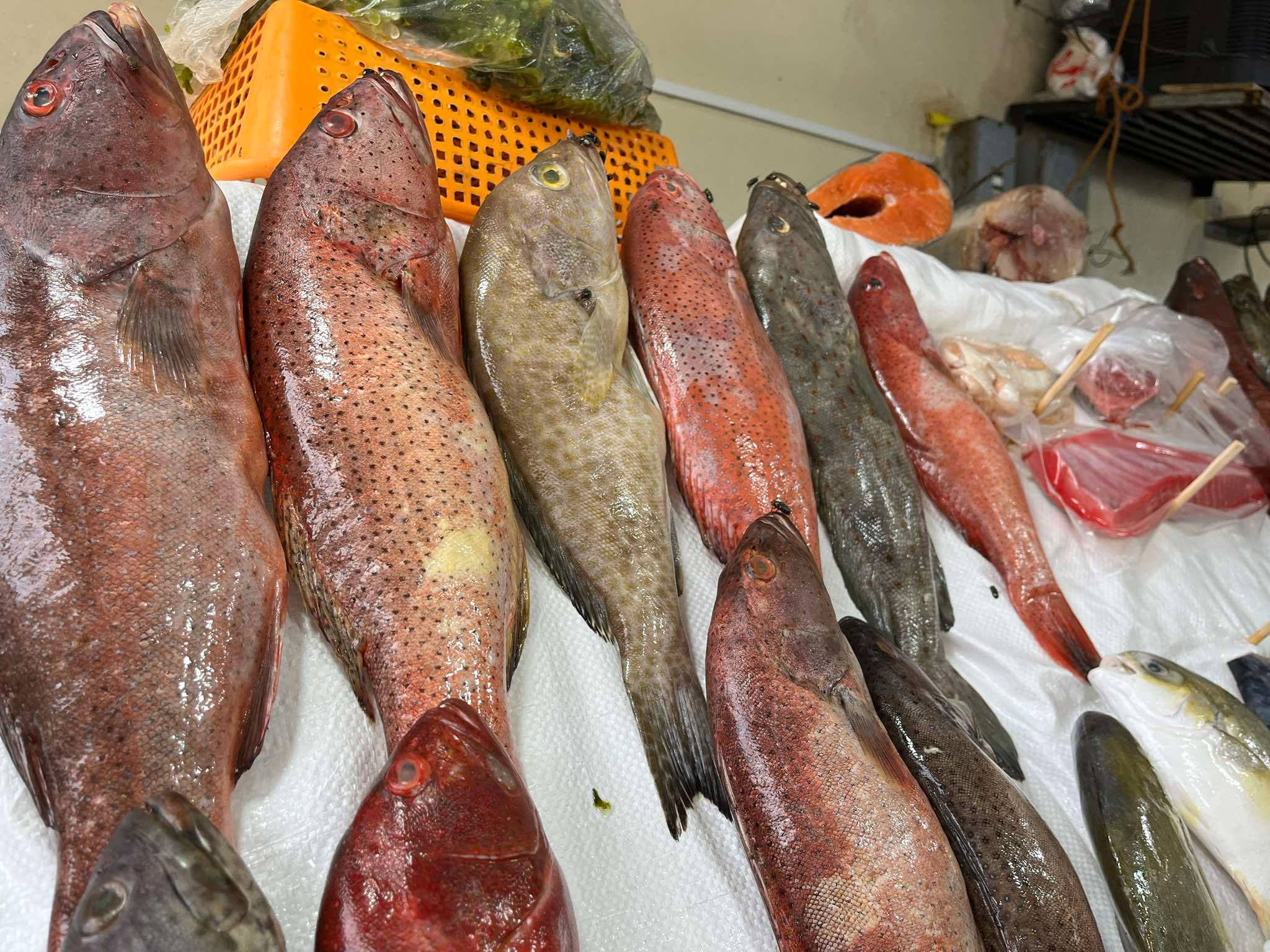 SM Bonus | Philippine Primer