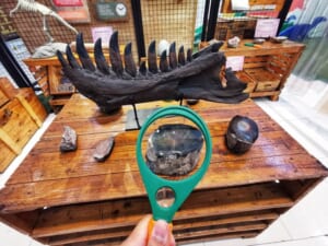 The Mind Museum in BGC: A World-Class Science Museum in Metro Manila ...