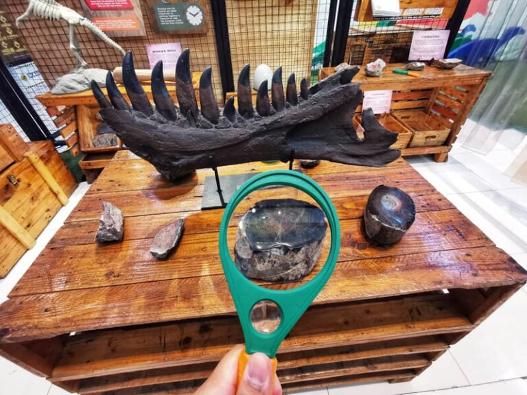 Signet in BGC | Philippine Primer