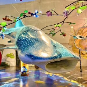 The Mind Museum in BGC: A World-Class Science Museum in Metro Manila ...