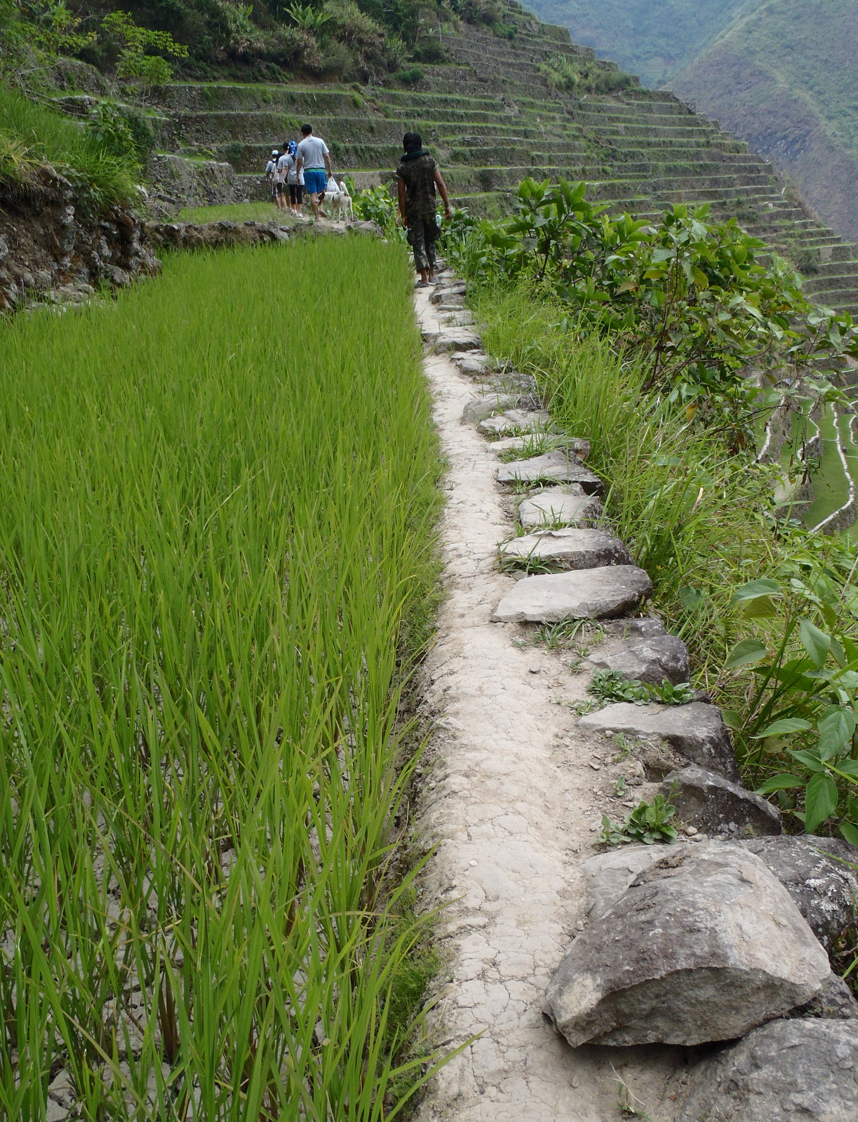 Batad Rice Terraces: Backpacking for Starters | Philippine Primer