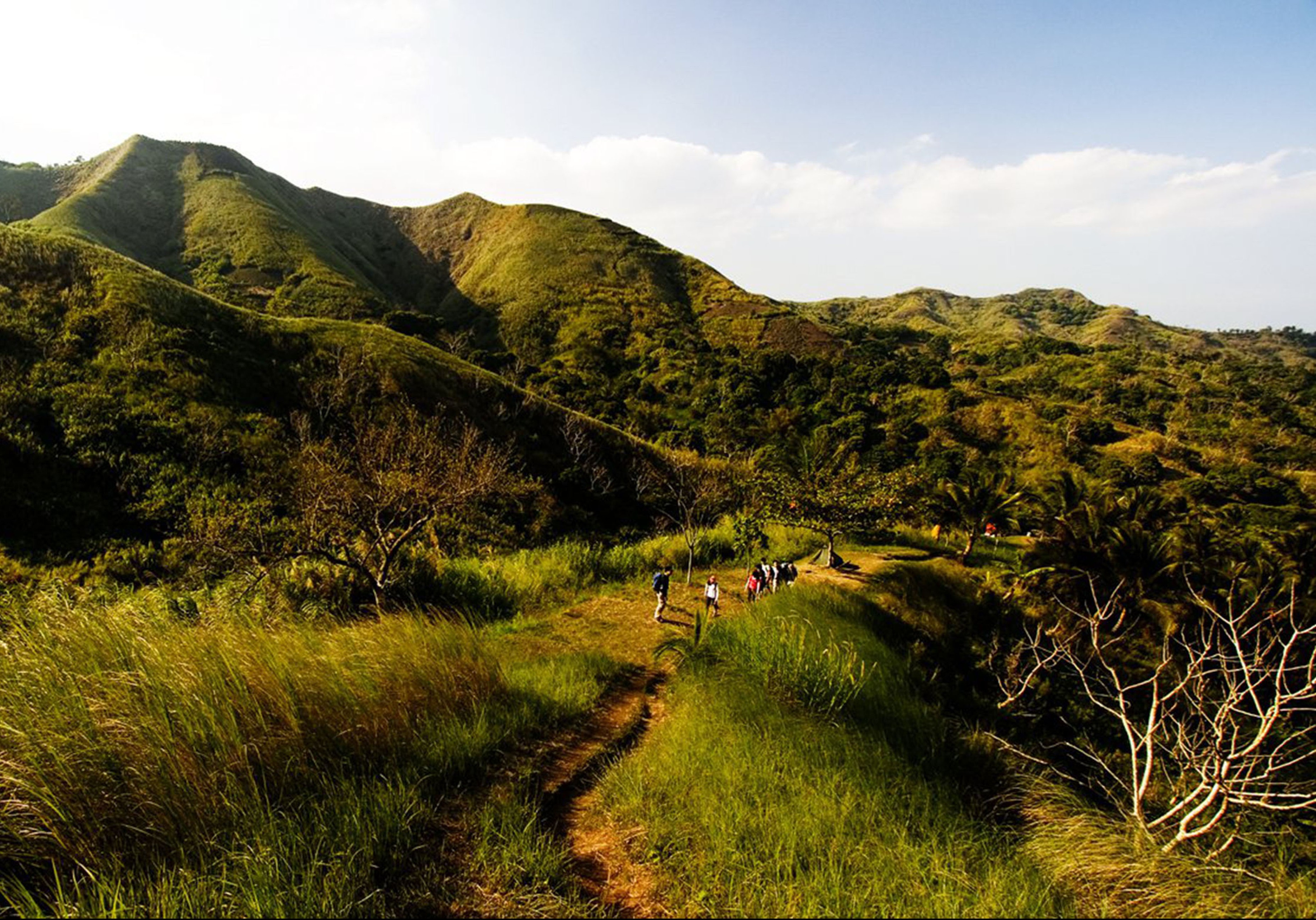 Mt. Batulao | Philippine Primer