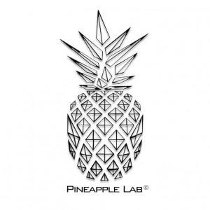 Pineapple Lab | Philippine Primer