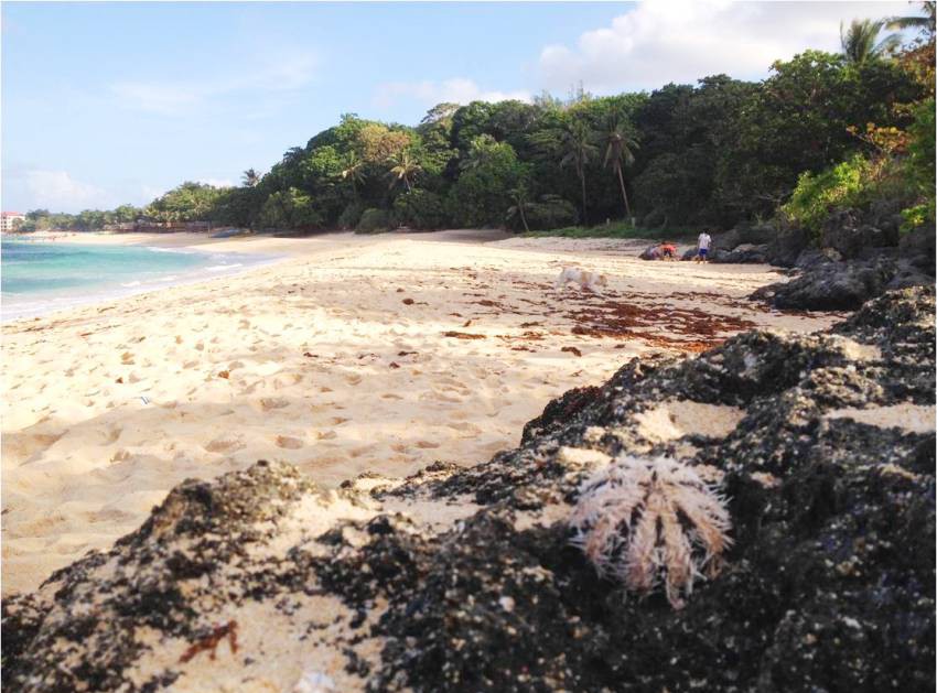 Breathtaking Bolinao | Philippine Primer