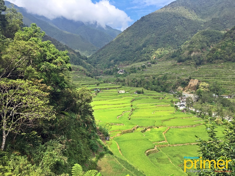 Hungduan Rice Terraces Cluster in Ifugao Echoes a Solemn Persona with ...