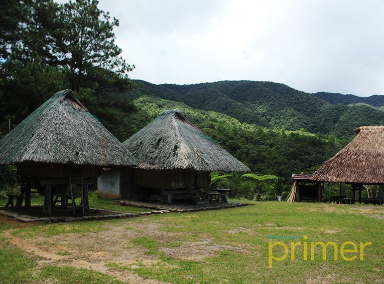 Learn about the Ifugao culture at Banaue Ethnic Village & Pine Forest ...