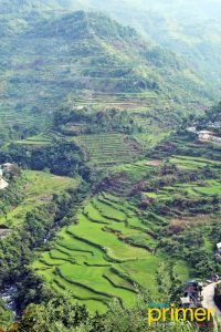 Hungduan Rice Terraces Cluster in Ifugao Echoes a Solemn Persona with ...