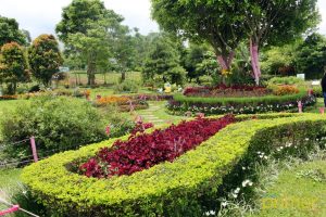 Paradizoo in Cavite: The First and Only Theme Farm in the City ...